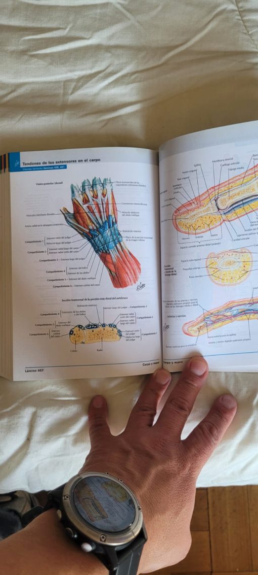 Libro Atlas de Anatomía Humana Netter - Vende y compra artículos de ...