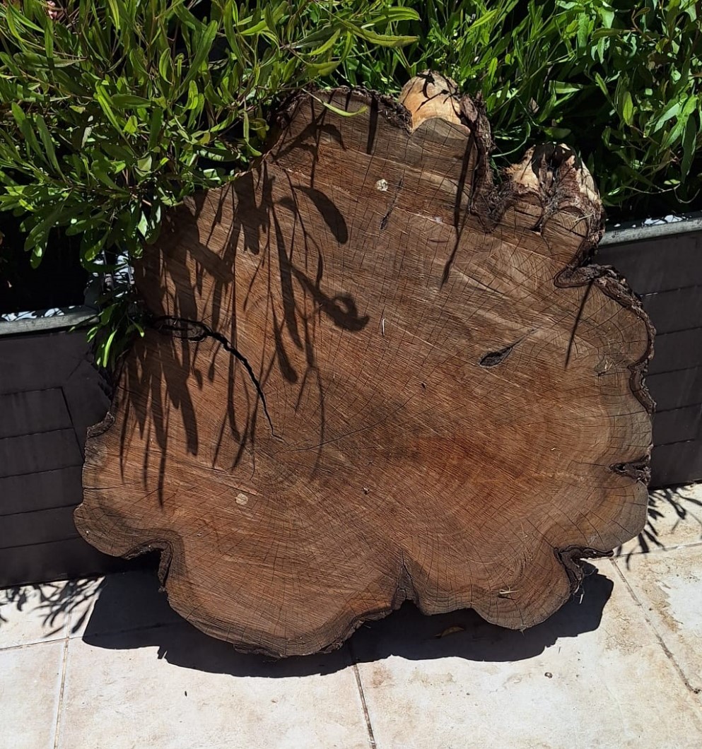 Rodela de Madera Cipres Easy Garage Sales Easy Garage Sales