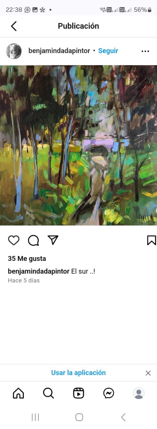 Cuadro el Sur Benjamín Dada - Vende y compra artículos de segunda mano